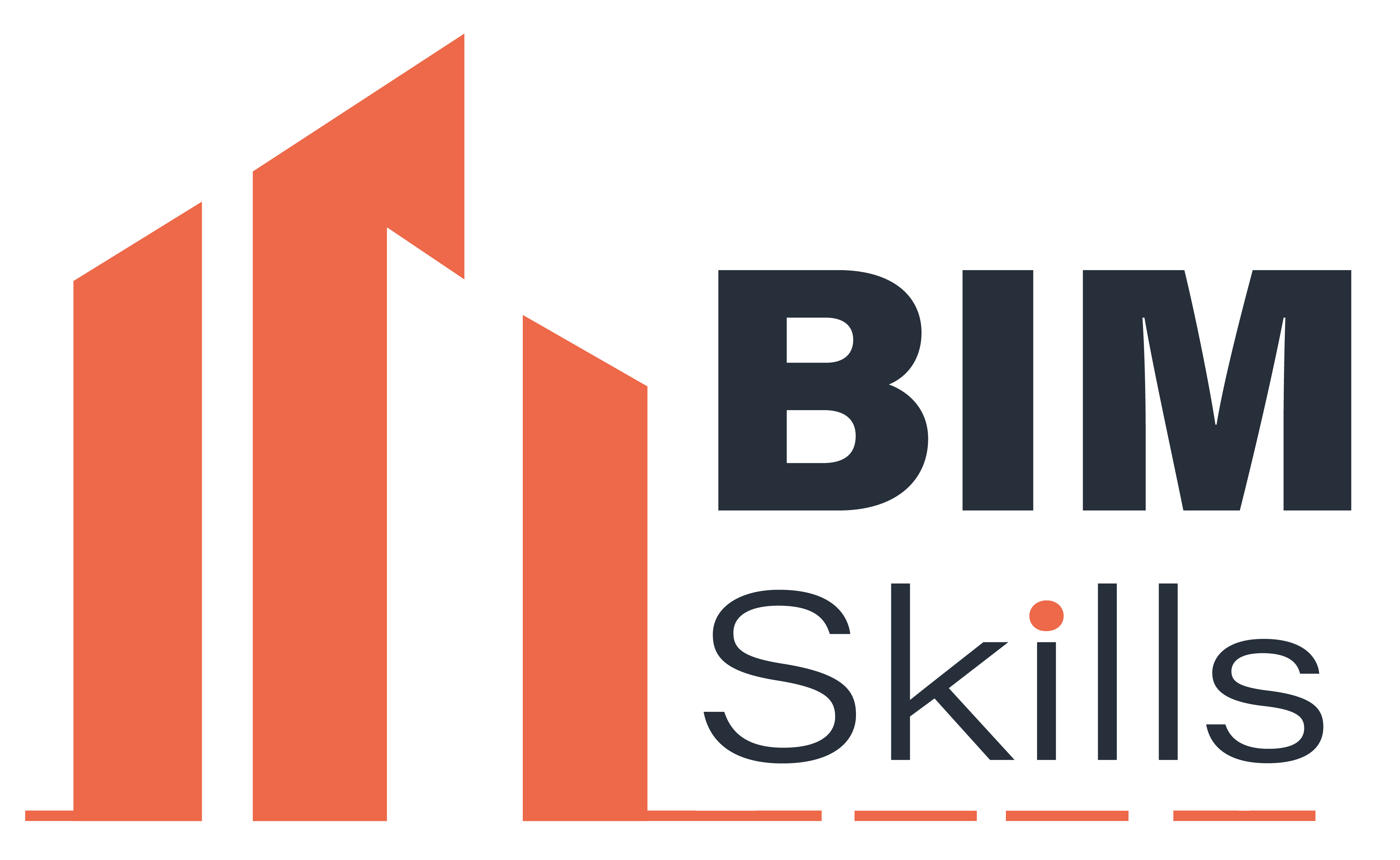 BIM Skills